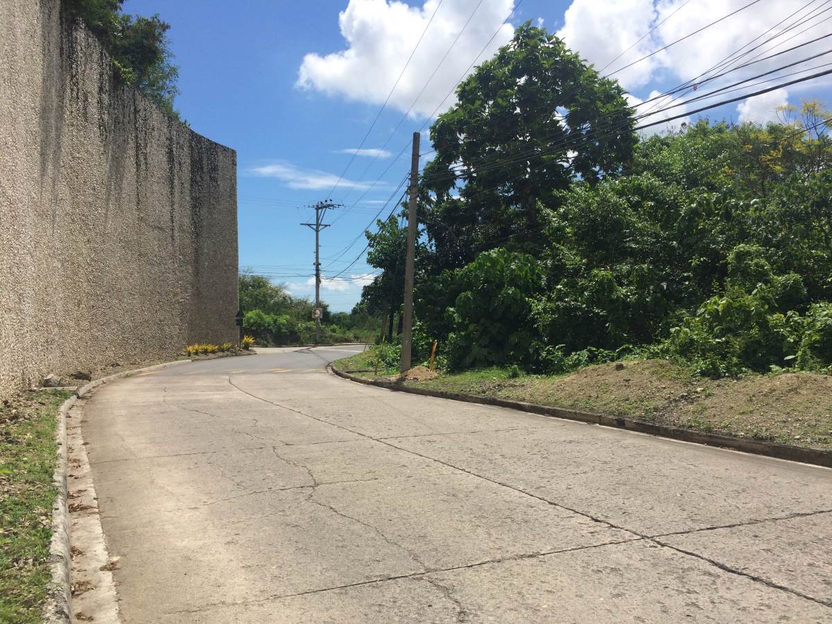 Maria Luisa Estate Park - Lot For Sale - Phase 5